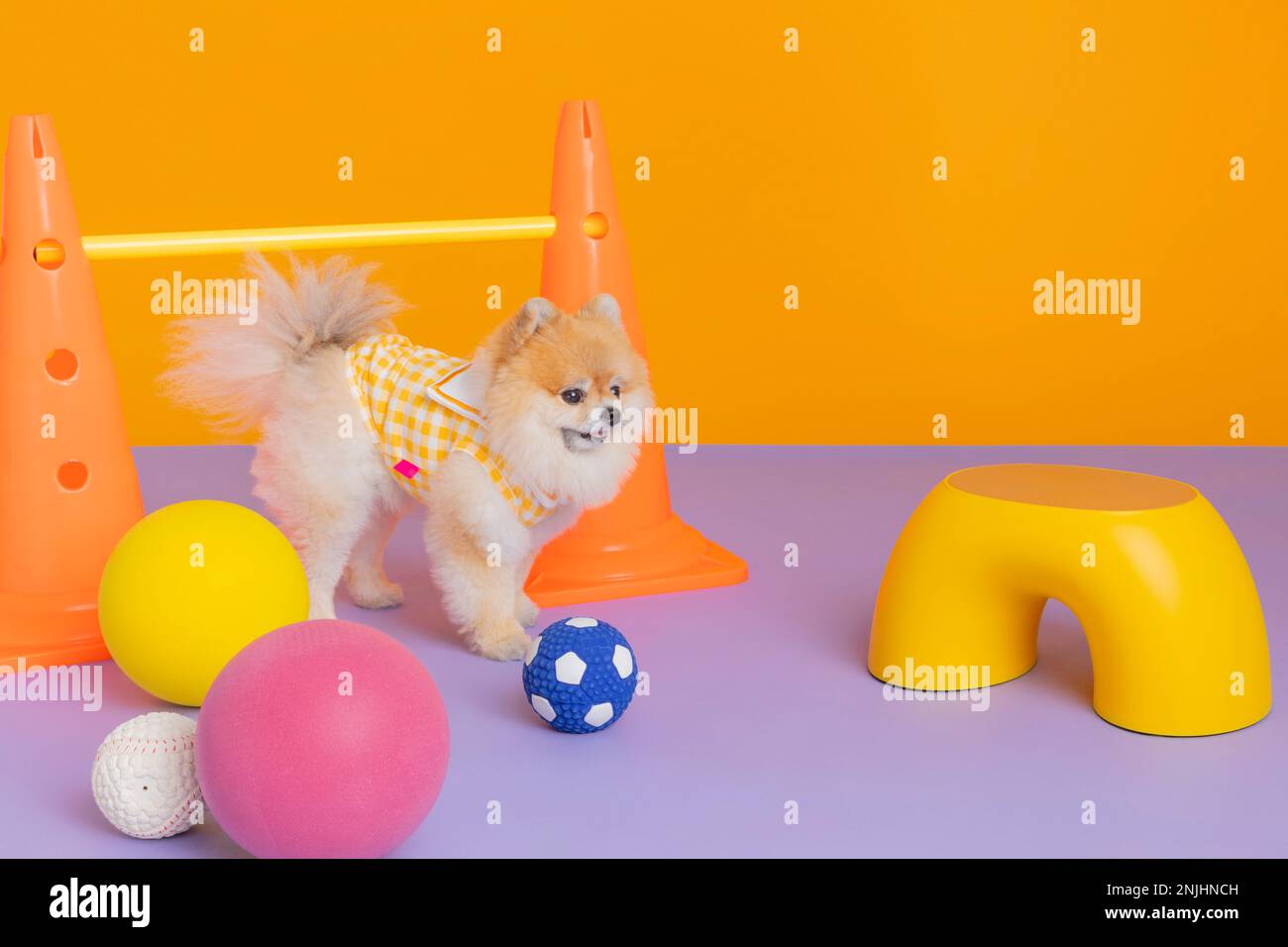 Potty training preschool hi-res stock photography and images - Alamy
