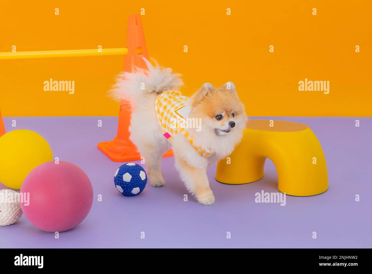 Potty training preschool hi-res stock photography and images - Alamy
