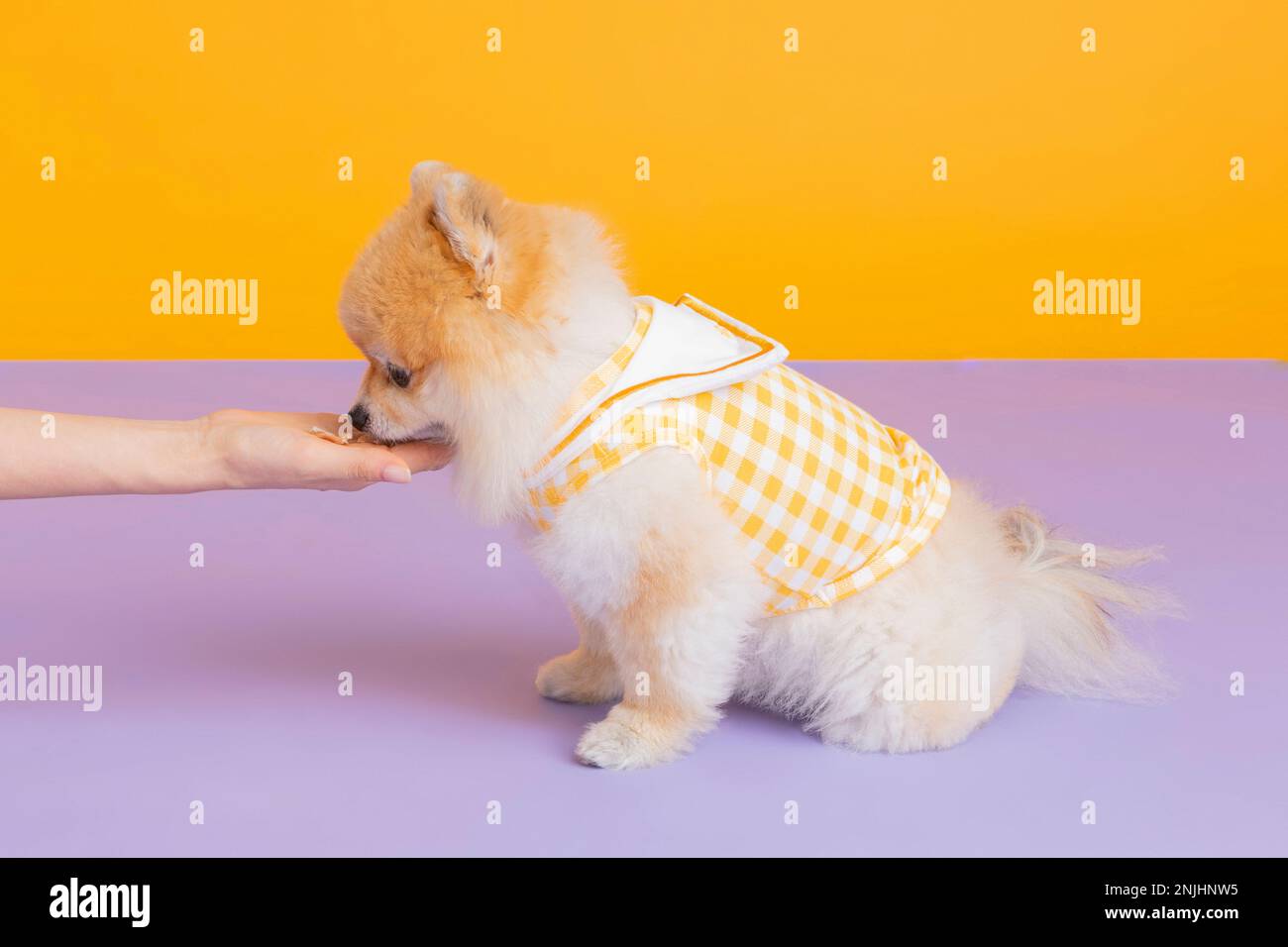 Potty training preschool hi-res stock photography and images - Alamy
