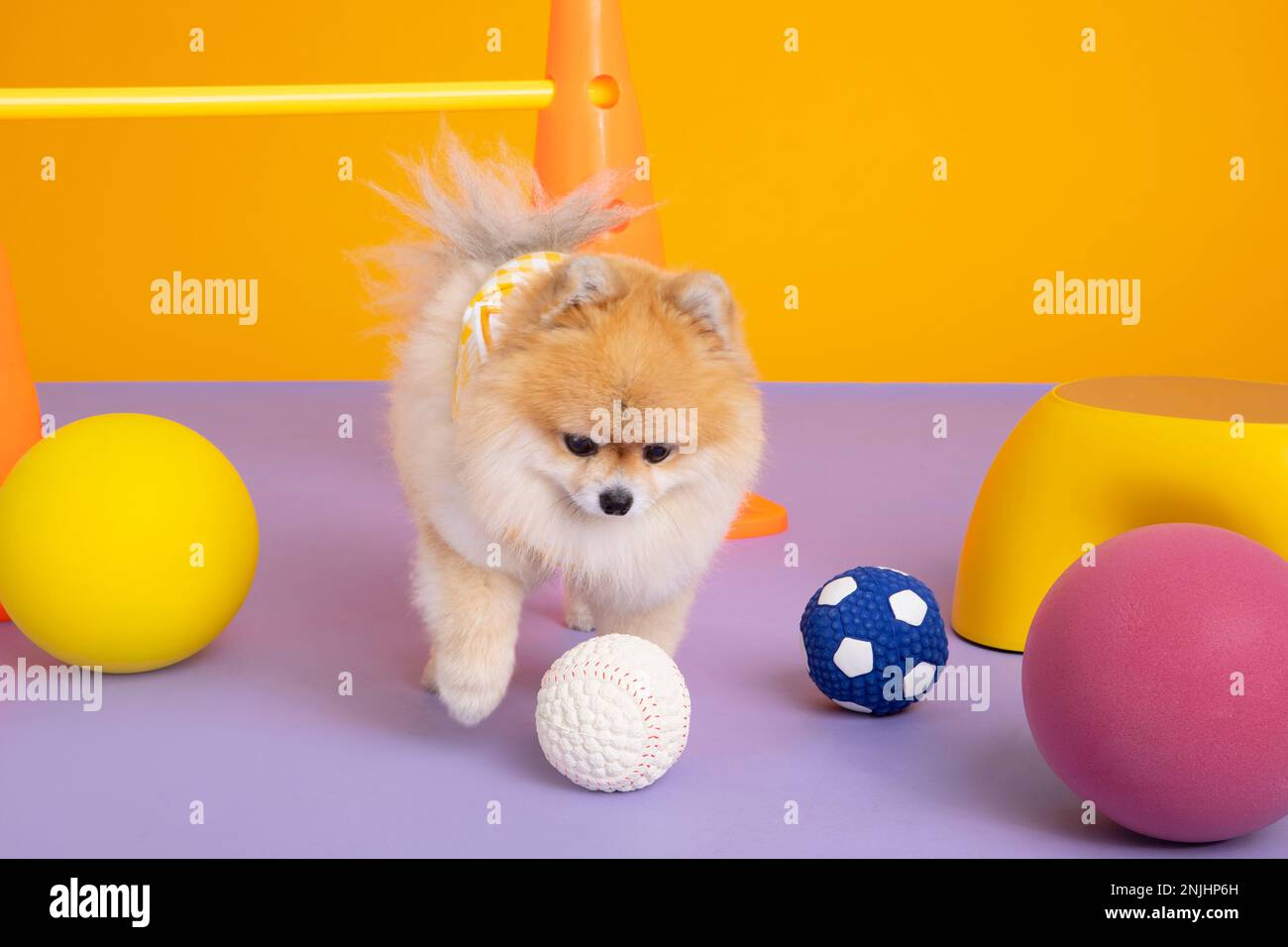 Potty training preschool hi-res stock photography and images - Alamy