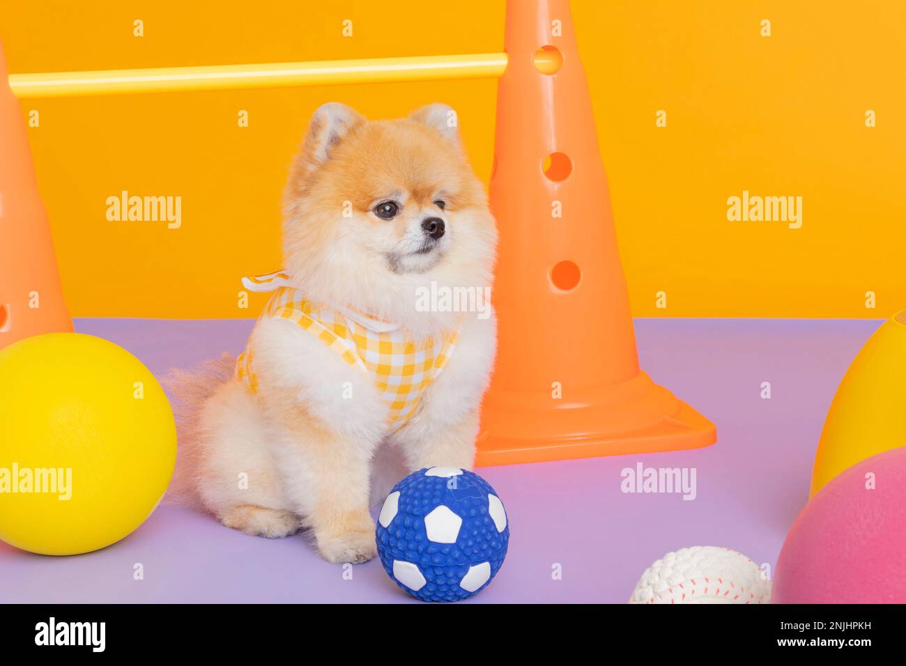 Potty training preschool hi-res stock photography and images - Alamy