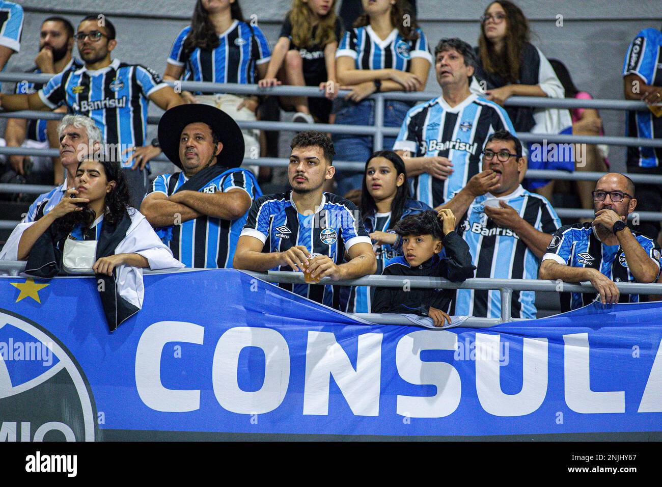 AL - Maceio - 08/13/2022 - BRAZILIAN B 2022, CRB X GREMIO - Gremio fans ...