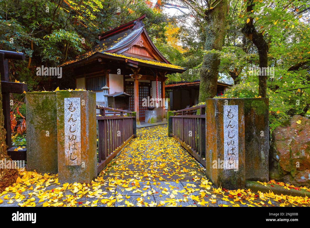 Fukuoka, Japan - Nov 21 2022: Nanzoin Temple in Fukuoka is home to a ...