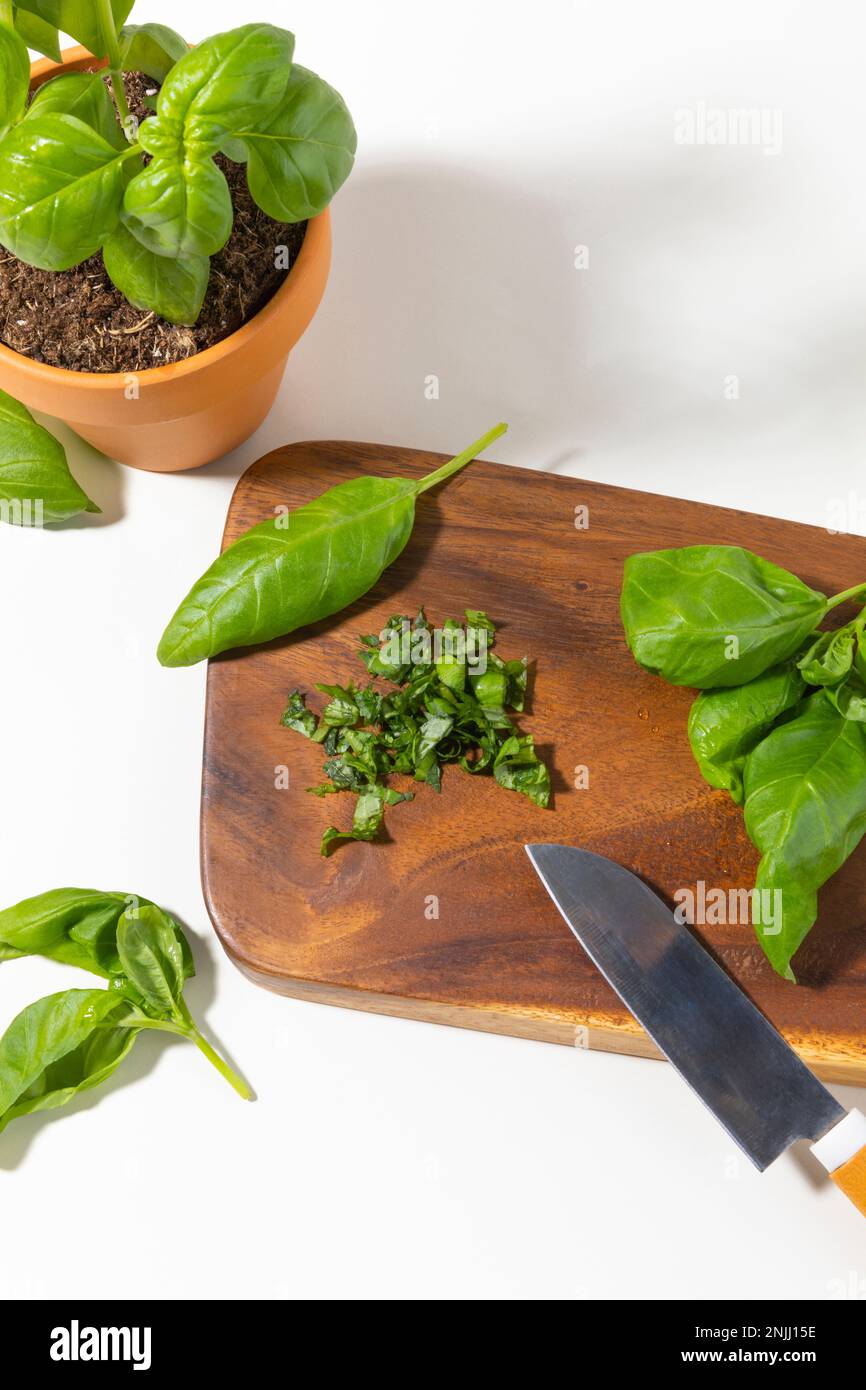 Trimming photos hi-res stock photography and images - Alamy