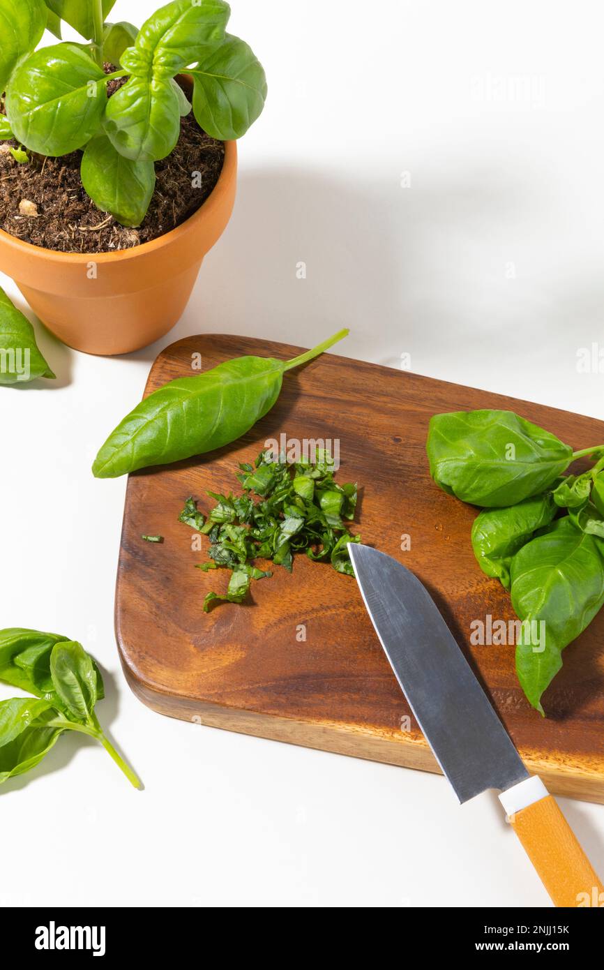 Trimming photos hi-res stock photography and images - Alamy