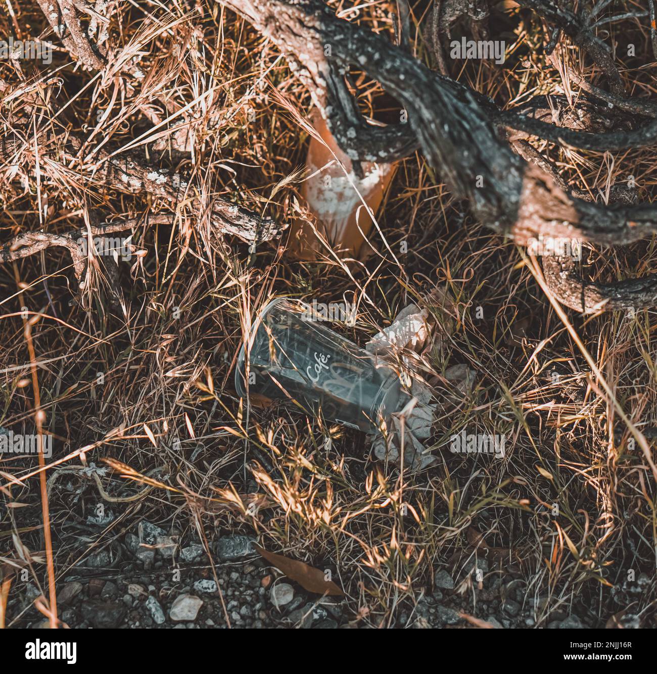 Indiscriminate littering can affect the environment later, be careful ...