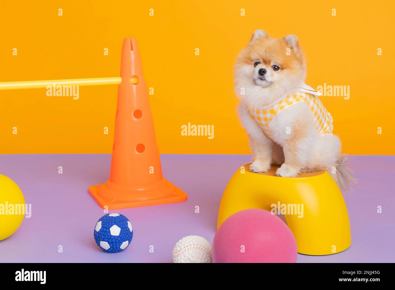Potty training preschool hi-res stock photography and images - Alamy