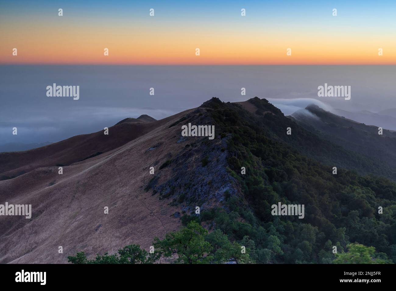 Above the fog at Fremont Peak in San Benito and Monterey Counties ...