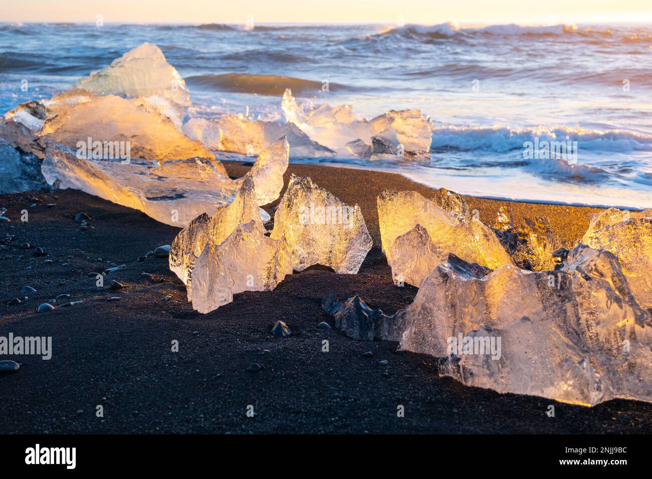 Pure glacier ice shining at sunset. Black volcanic sand at ocean coast ...