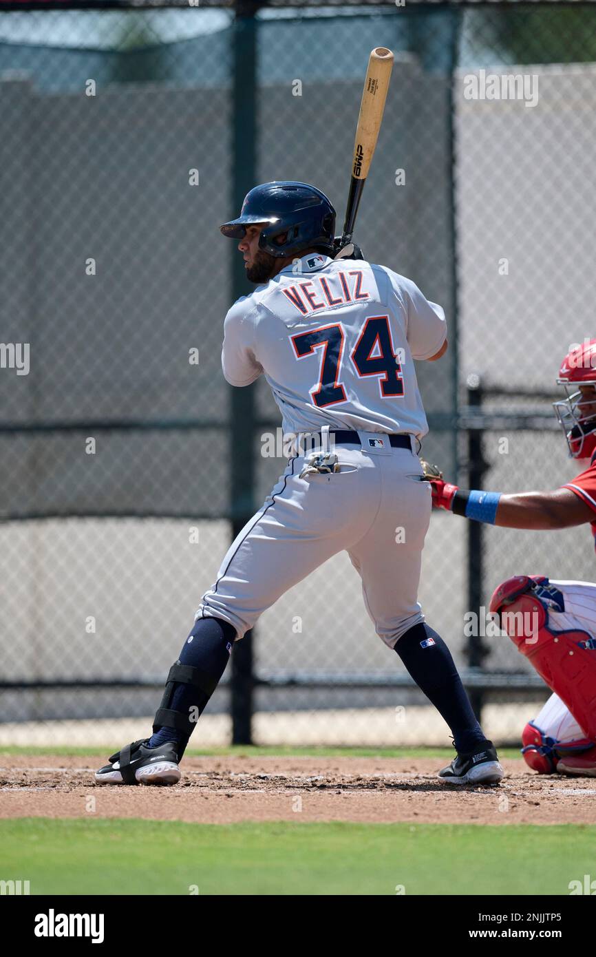 FCL Tigers Frank Veliz (74) bats during a Florida Complex League ...