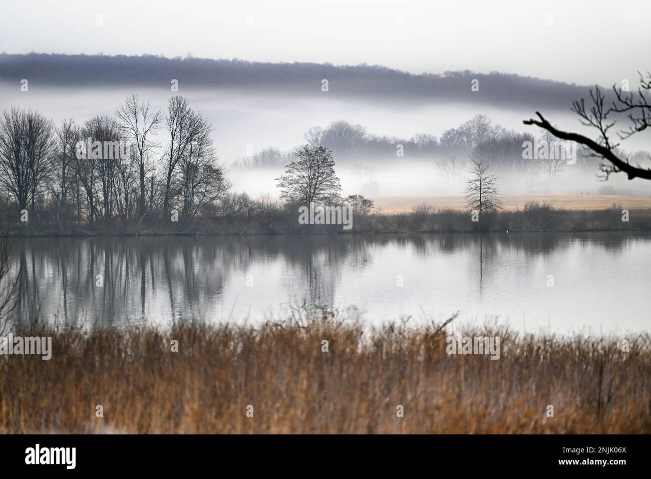 Middle Creek Reservoir migration Stock Photo - Alamy