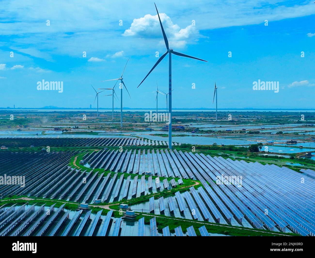 An aerial view of a solar-and-wind power station built over fish ponds ...