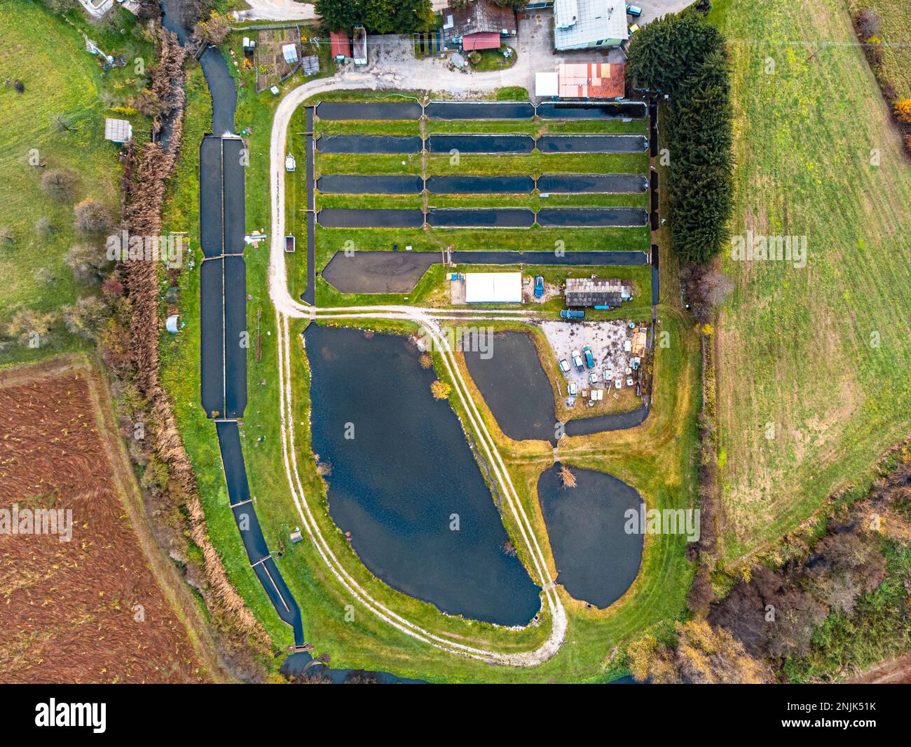 Aquaculture ponds used for farming freshwater fish. Drone shot Stock ...