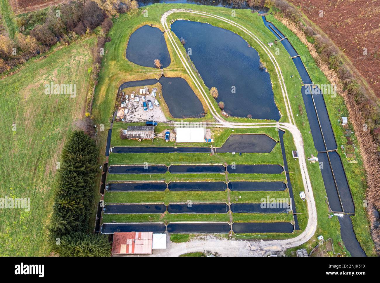 Aquaculture ponds used for farming freshwater fish. Drone shot Stock ...