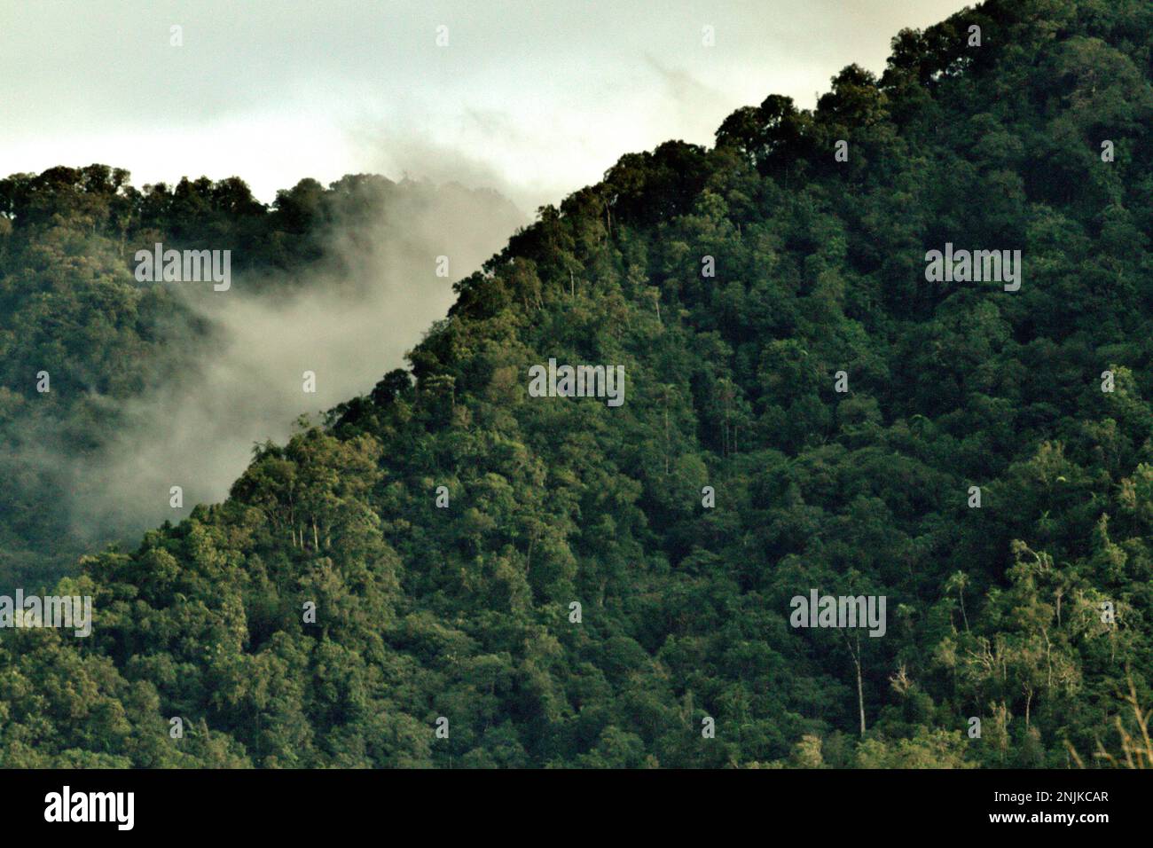Duasaudara nature reserve hi-res stock photography and images - Alamy