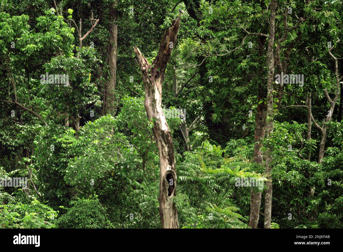 Global warming climate crisis hi-res stock photography and images - Alamy