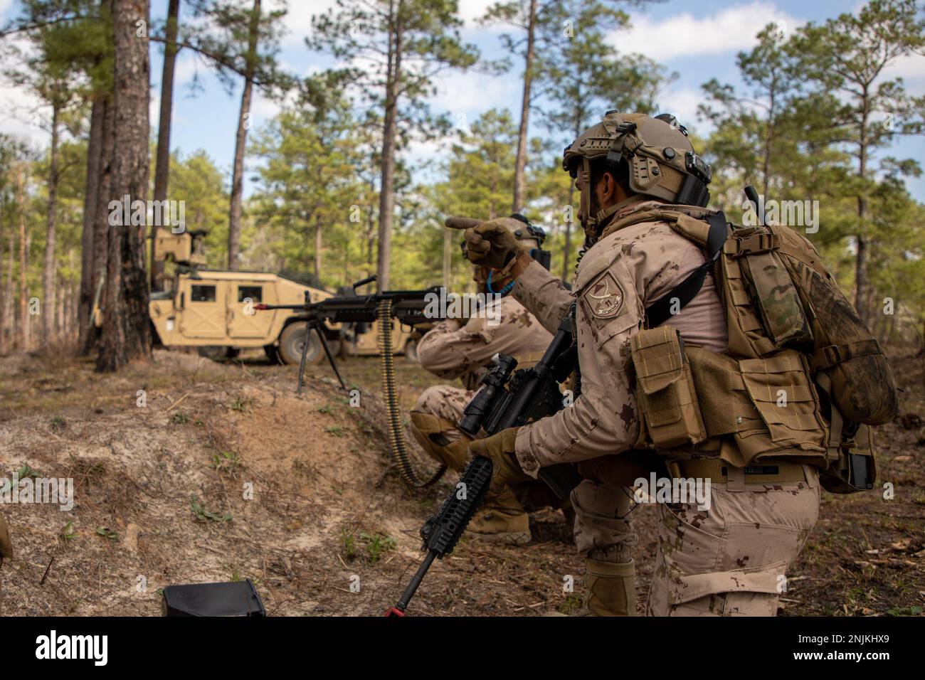 Soldiers from the United Arab Emirates 11th Mountain Battalion engage ...