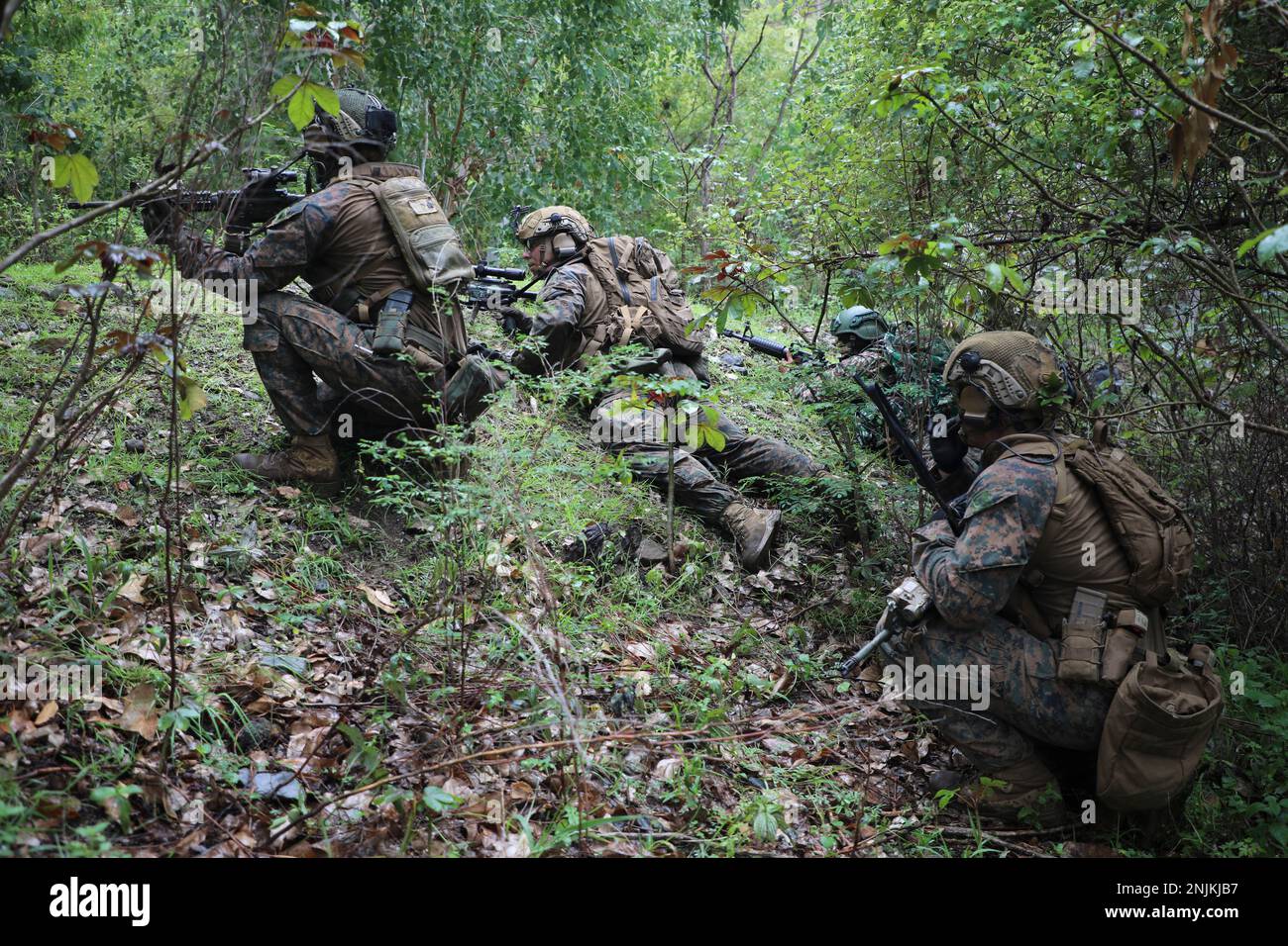 Timor-Leste (Feb. 13, 2023) – U.S. Marines assigned to Battalion ...