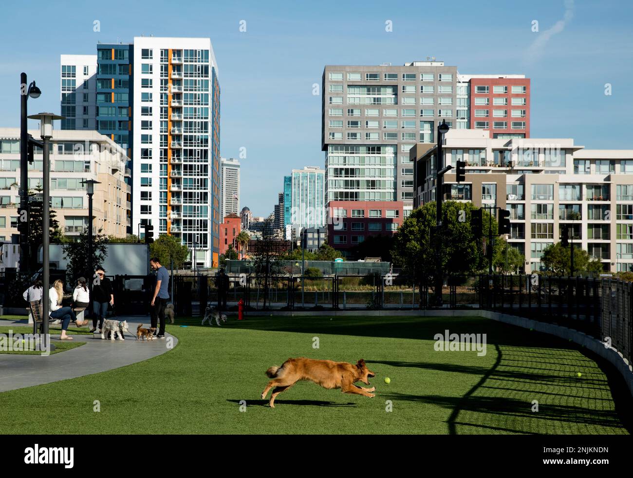 Dog Parks San Francisco