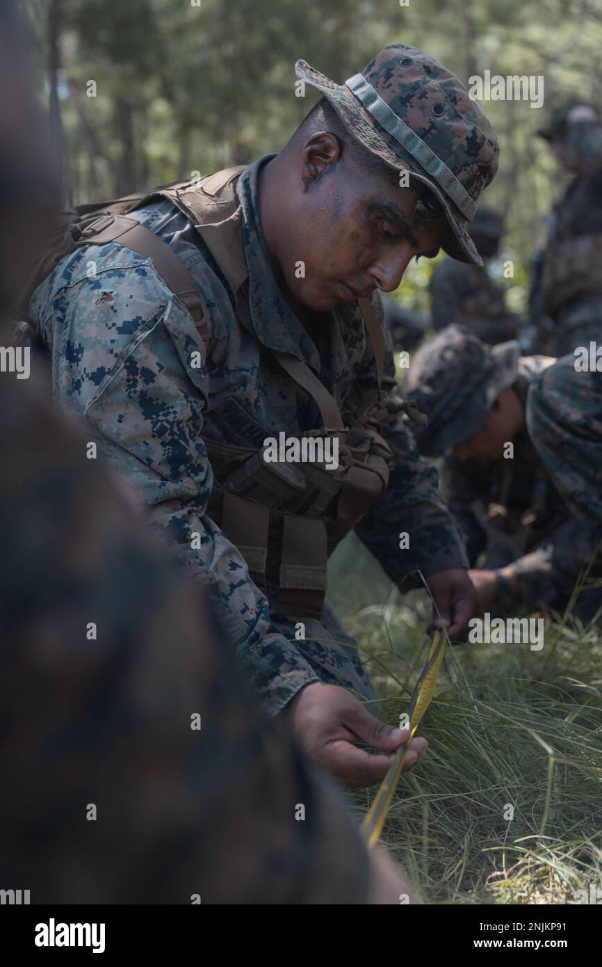 U.S. Marines with 2d Combat Engineer Battalion (CEB), 2d Marine ...