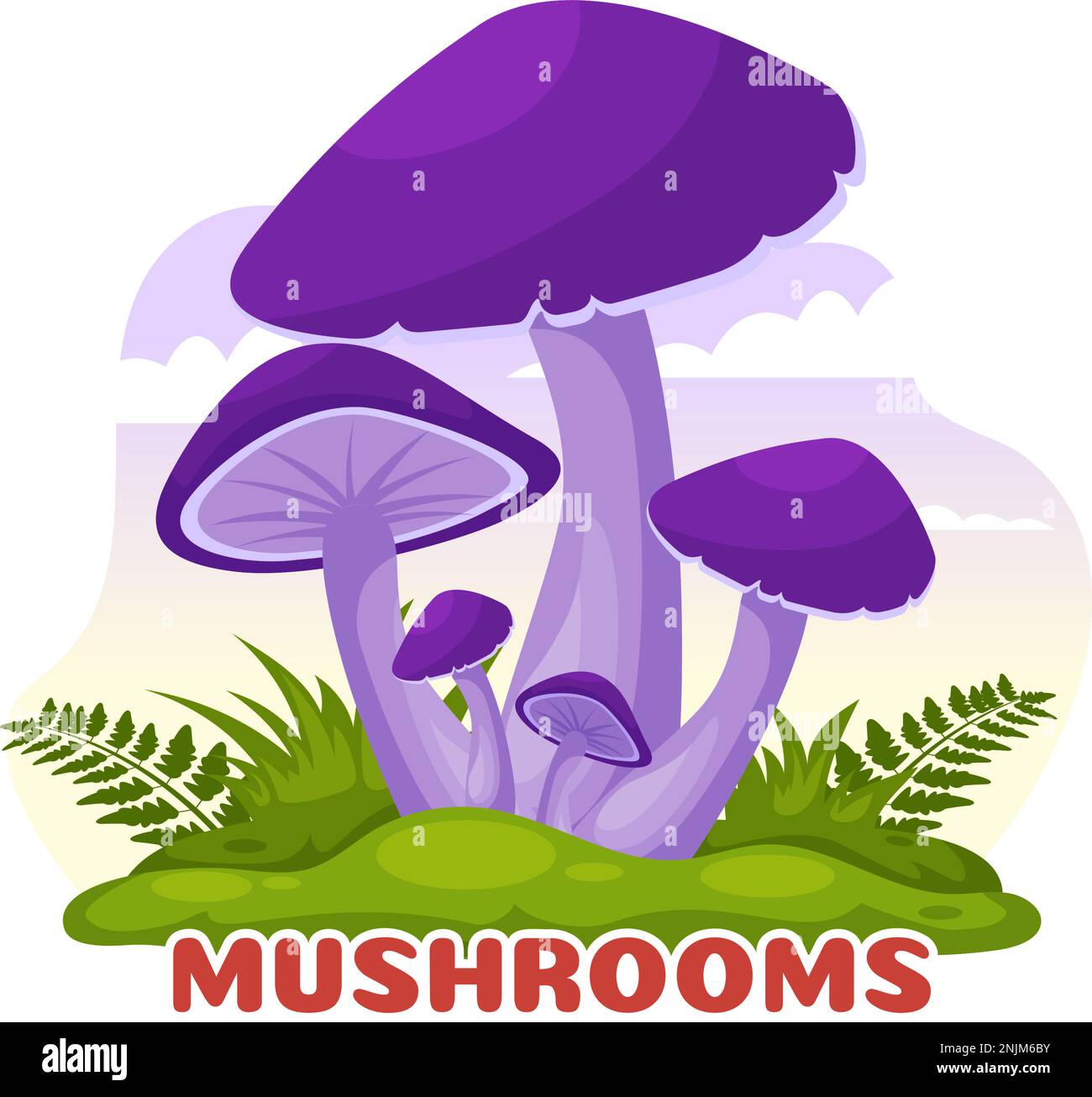 Mushrooms Illustration with Different Mushroom, Grass and Insects for ...
