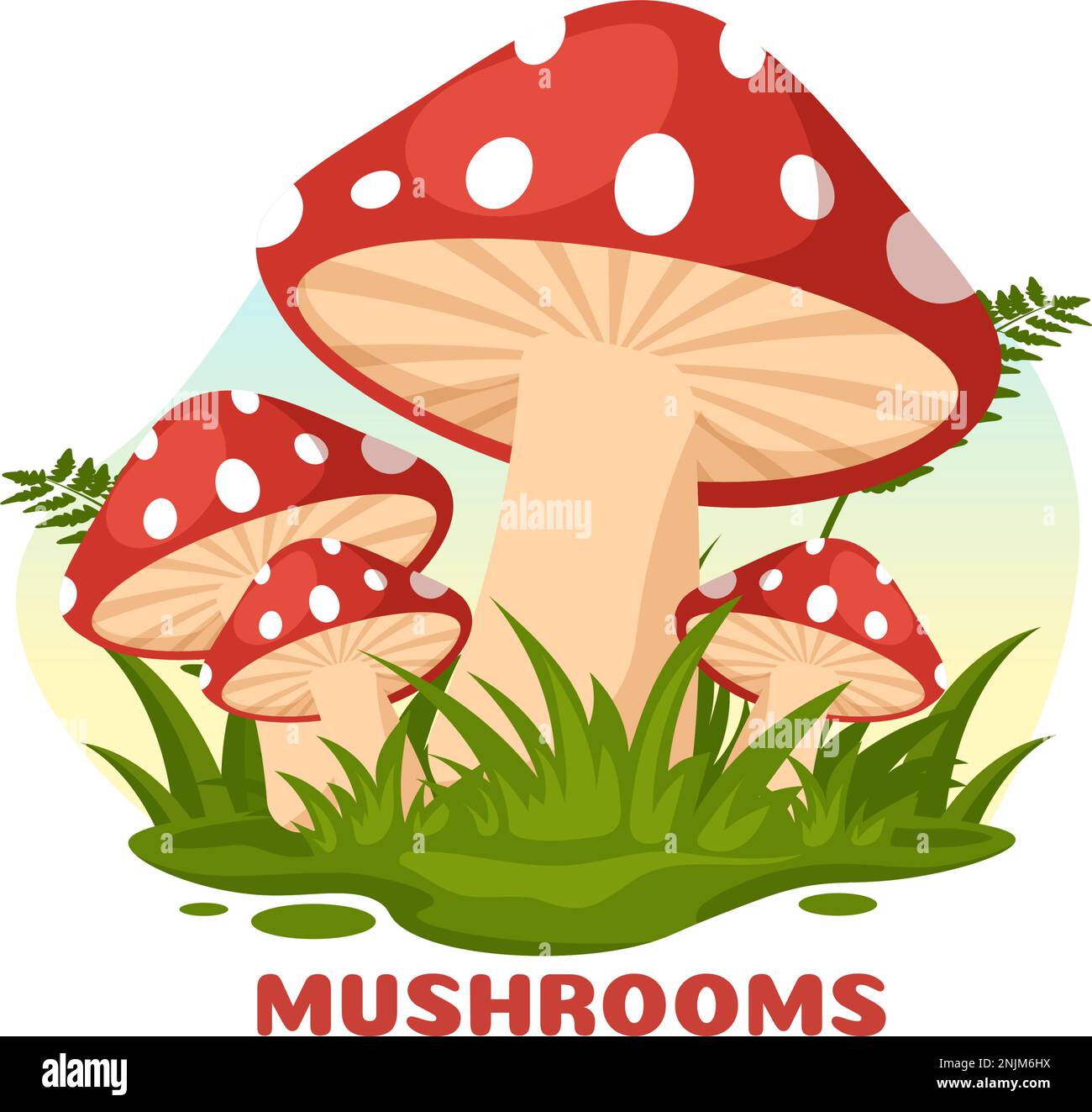 Mushrooms Illustration with Different Mushroom, Grass and Insects for ...
