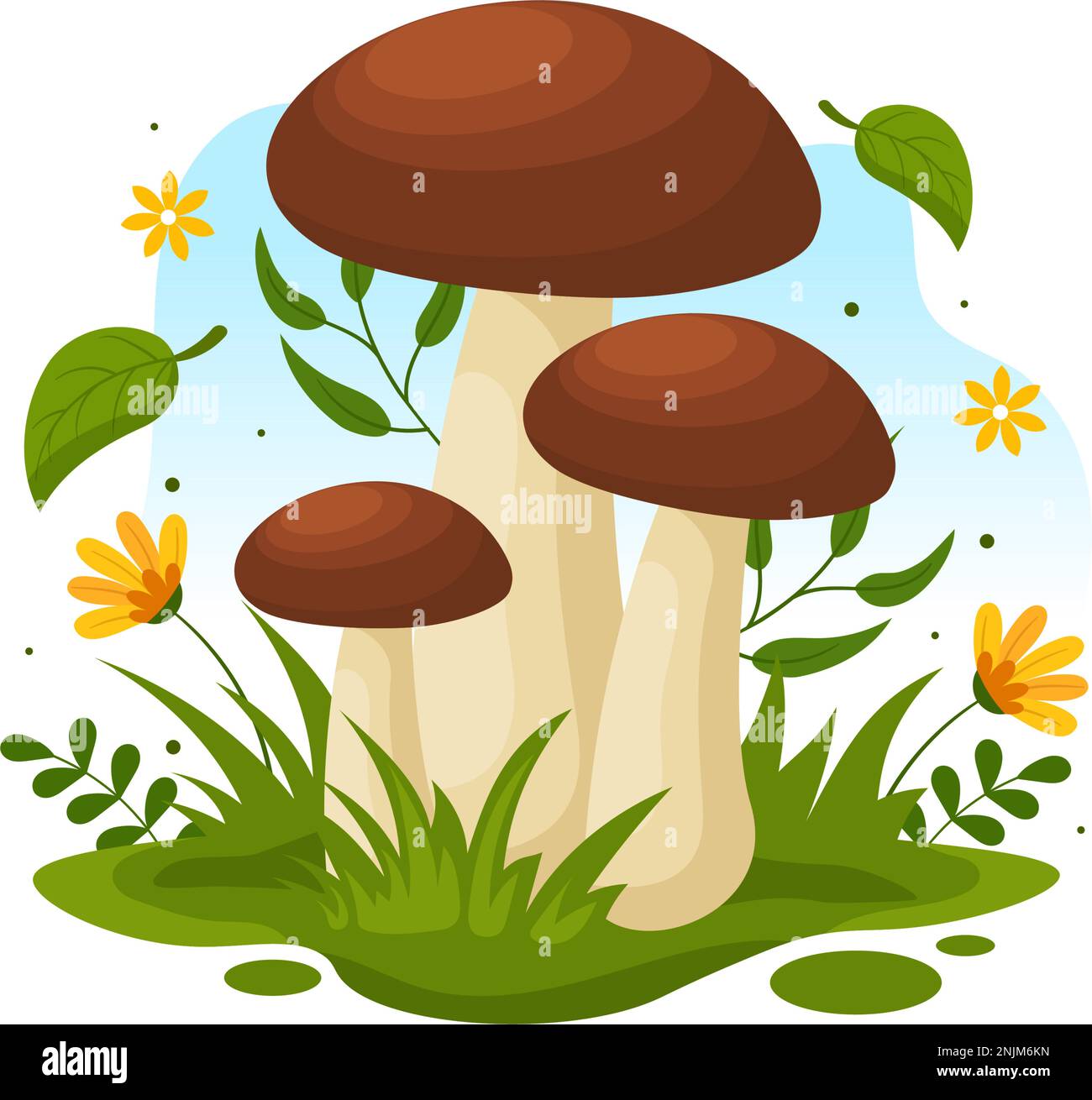 Mushrooms Illustration with Different Mushroom, Grass and Insects for ...
