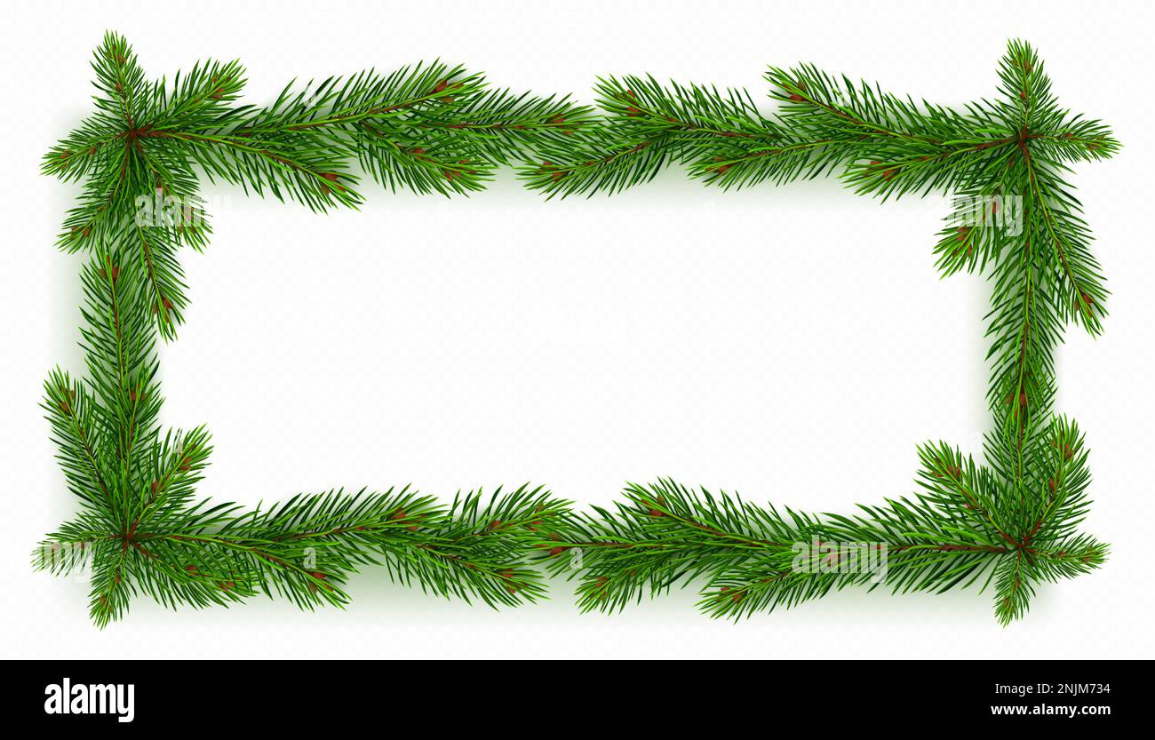 Realistic rectangular pine tree frame in vector. Isolated fir border on ...