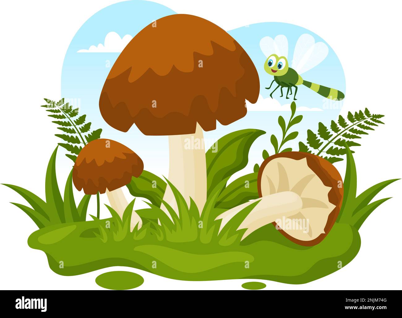 Mushrooms Illustration with Different Mushroom, Grass and Insects for ...