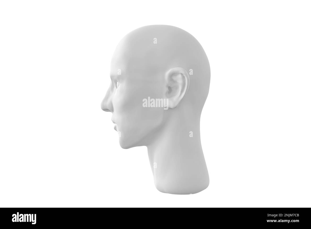 3D rendering of human head Isolated on white background, side view ...