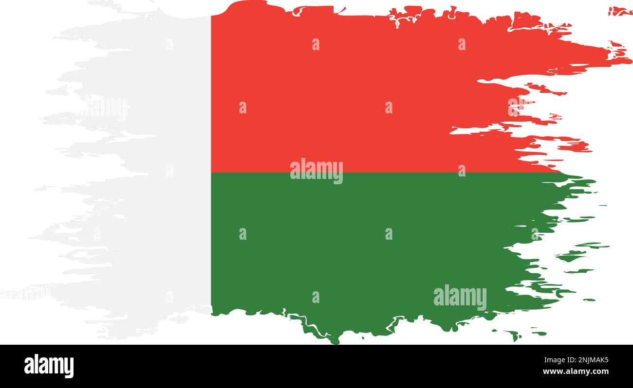 Madagascar flag grunge brush color image, vector Stock Vector Image ...