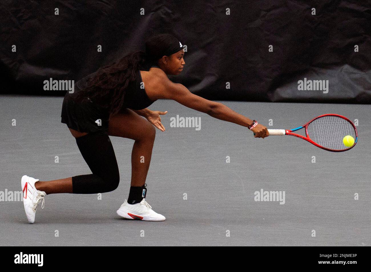 Alana smith hi-res stock photography and images - Alamy