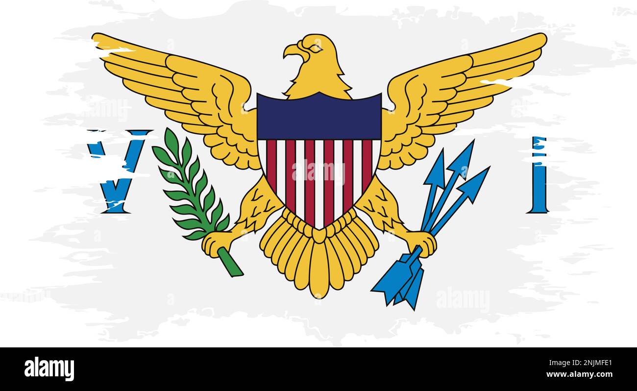 United States Virgin Islands flag grunge brush color image, vector ...
