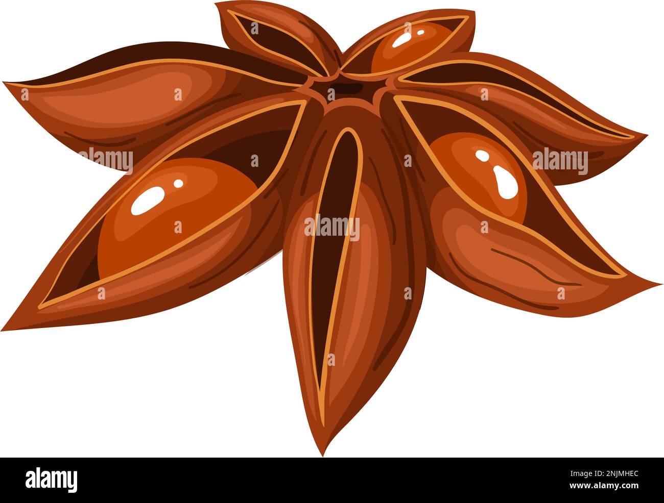 anise brown dry cartoon vector illustration color sign Stock Vector ...