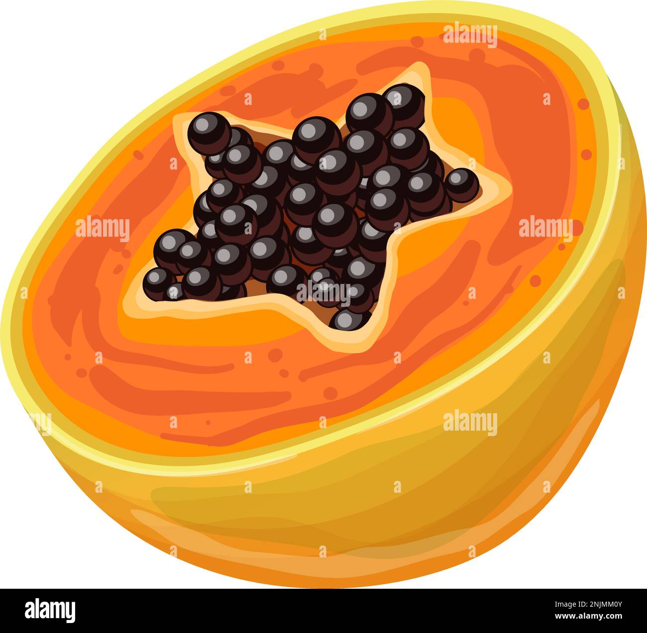 papaya cut cartoon vector illustration color sign Stock Vector Image ...