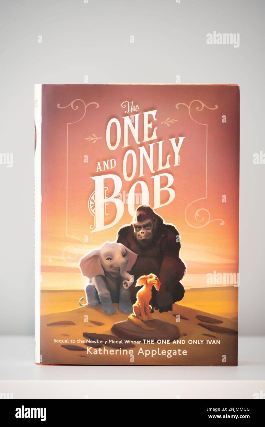 The one and only bob hi-res stock photography and images - Alamy