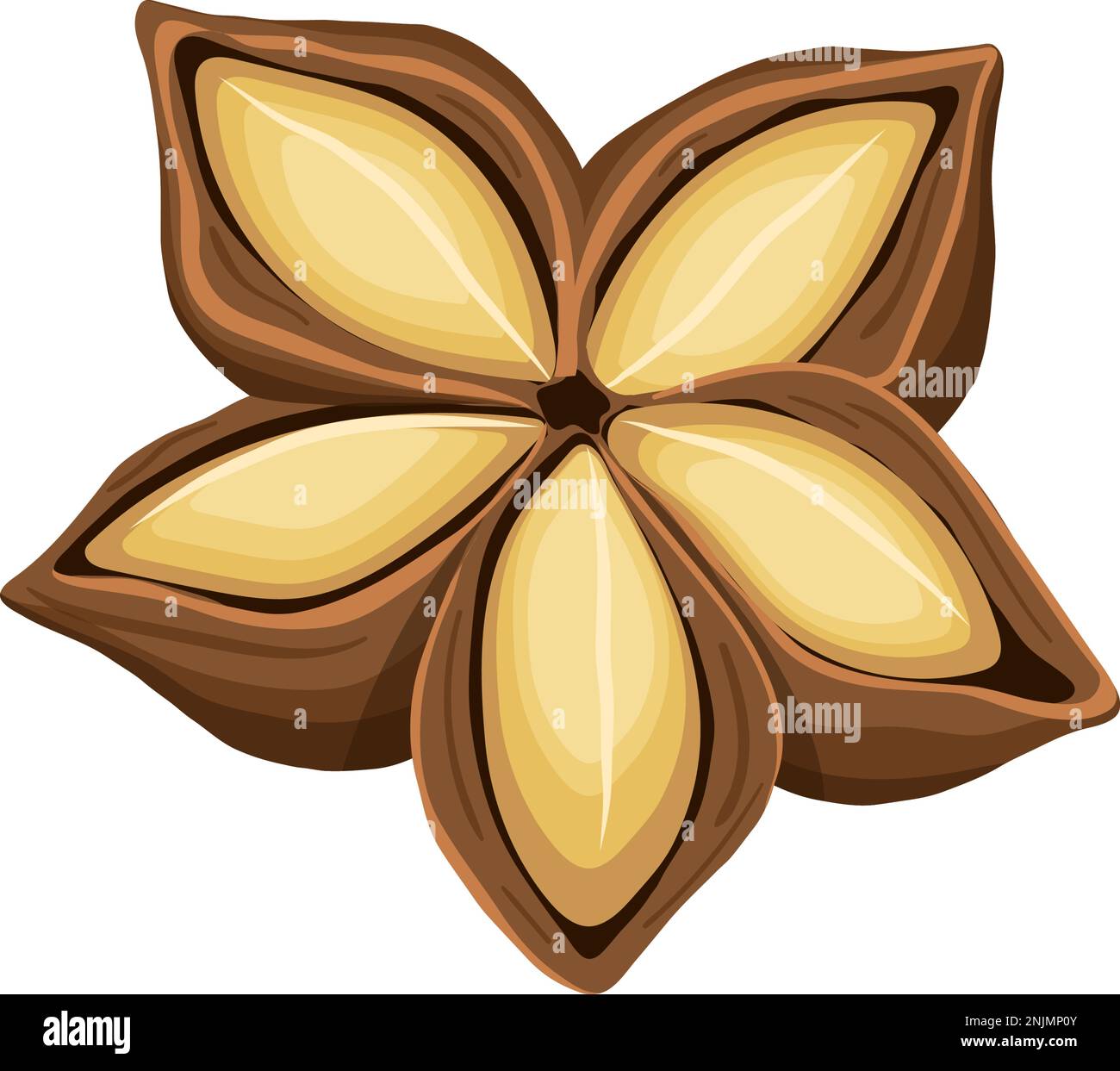 inchi sacha dry cartoon vector illustration color sign Stock Vector ...