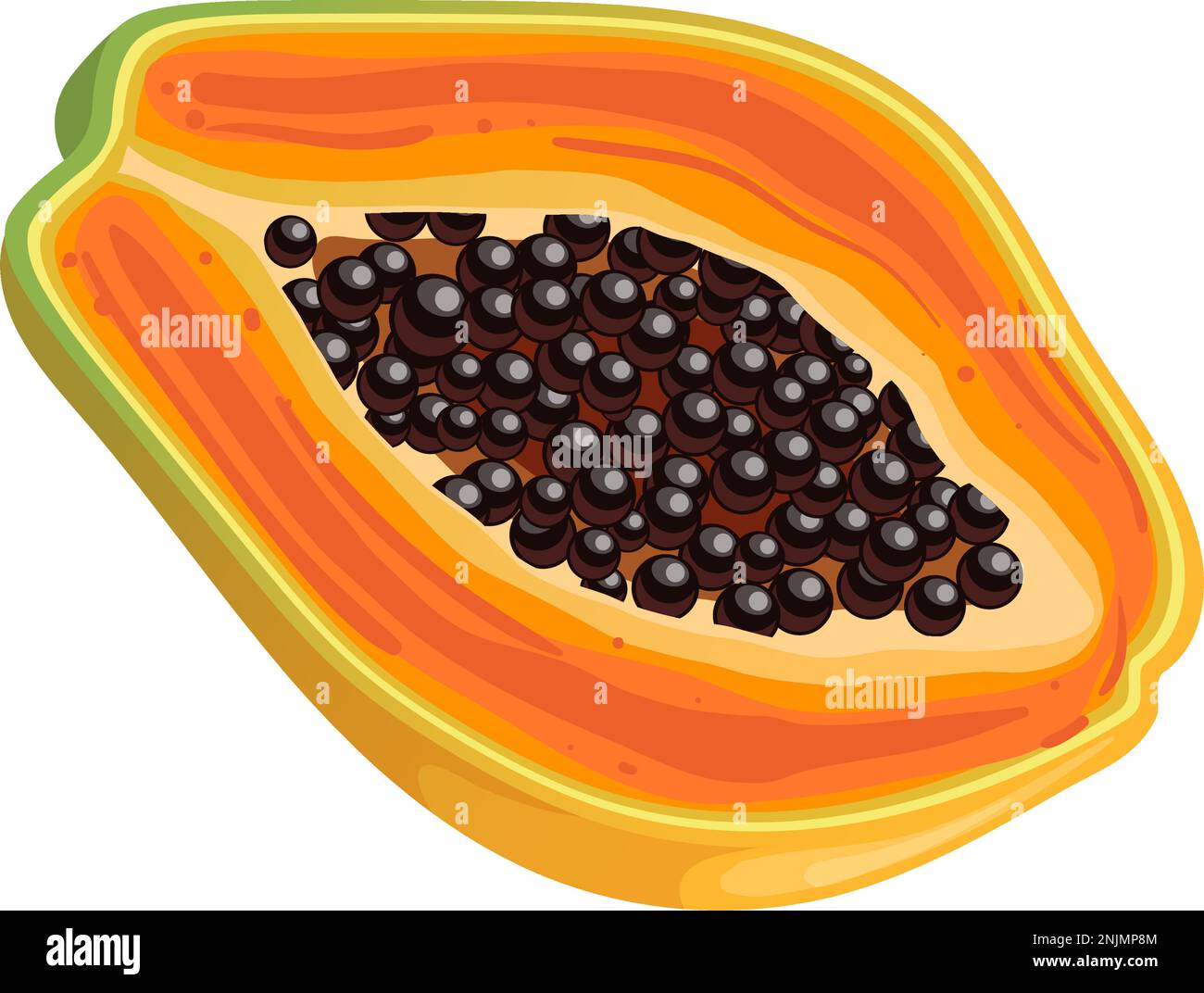 papaya cut cartoon vector illustration color sign Stock Vector Image ...