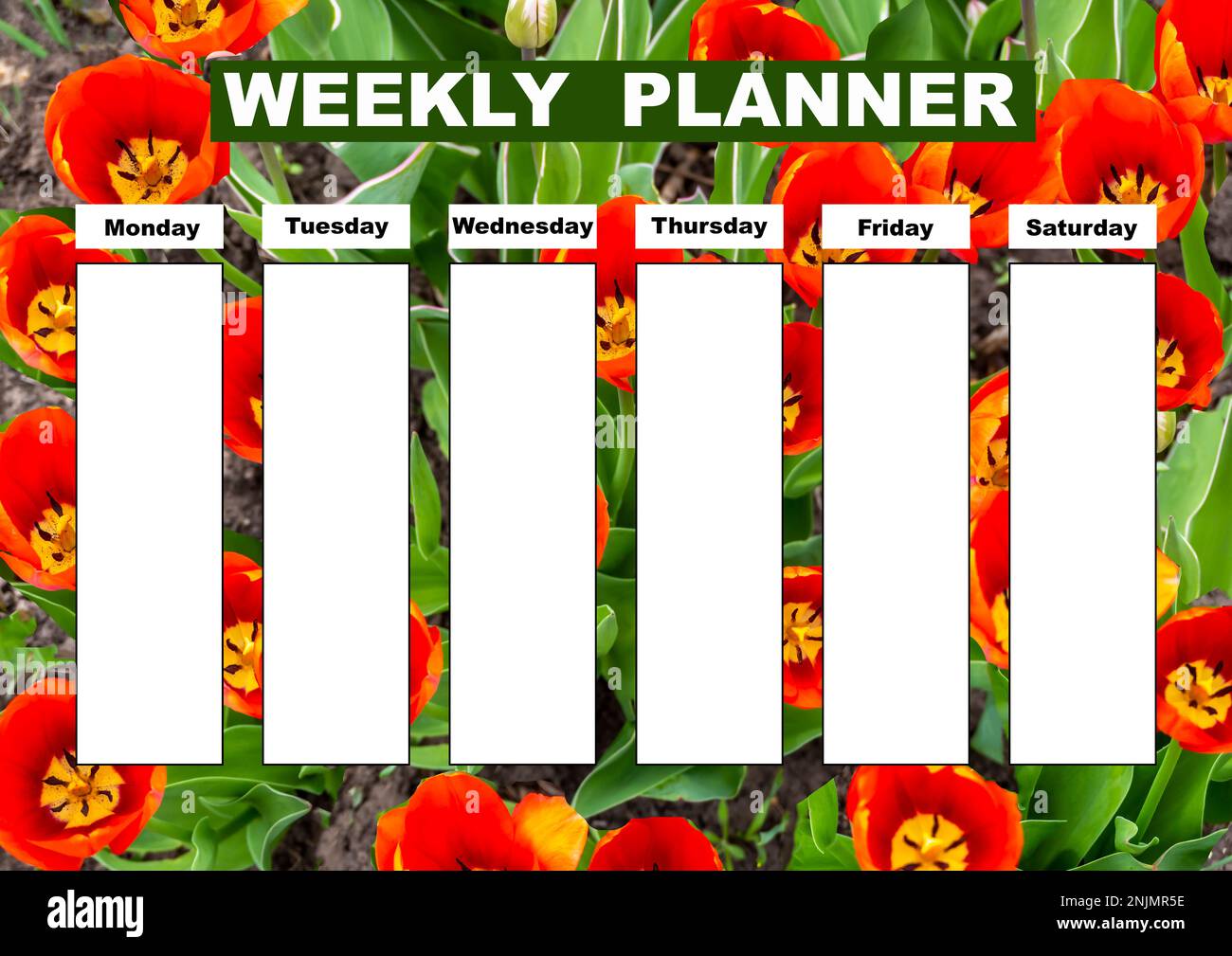 Beautiful weekly planner, school timetable education, can be used as an ...