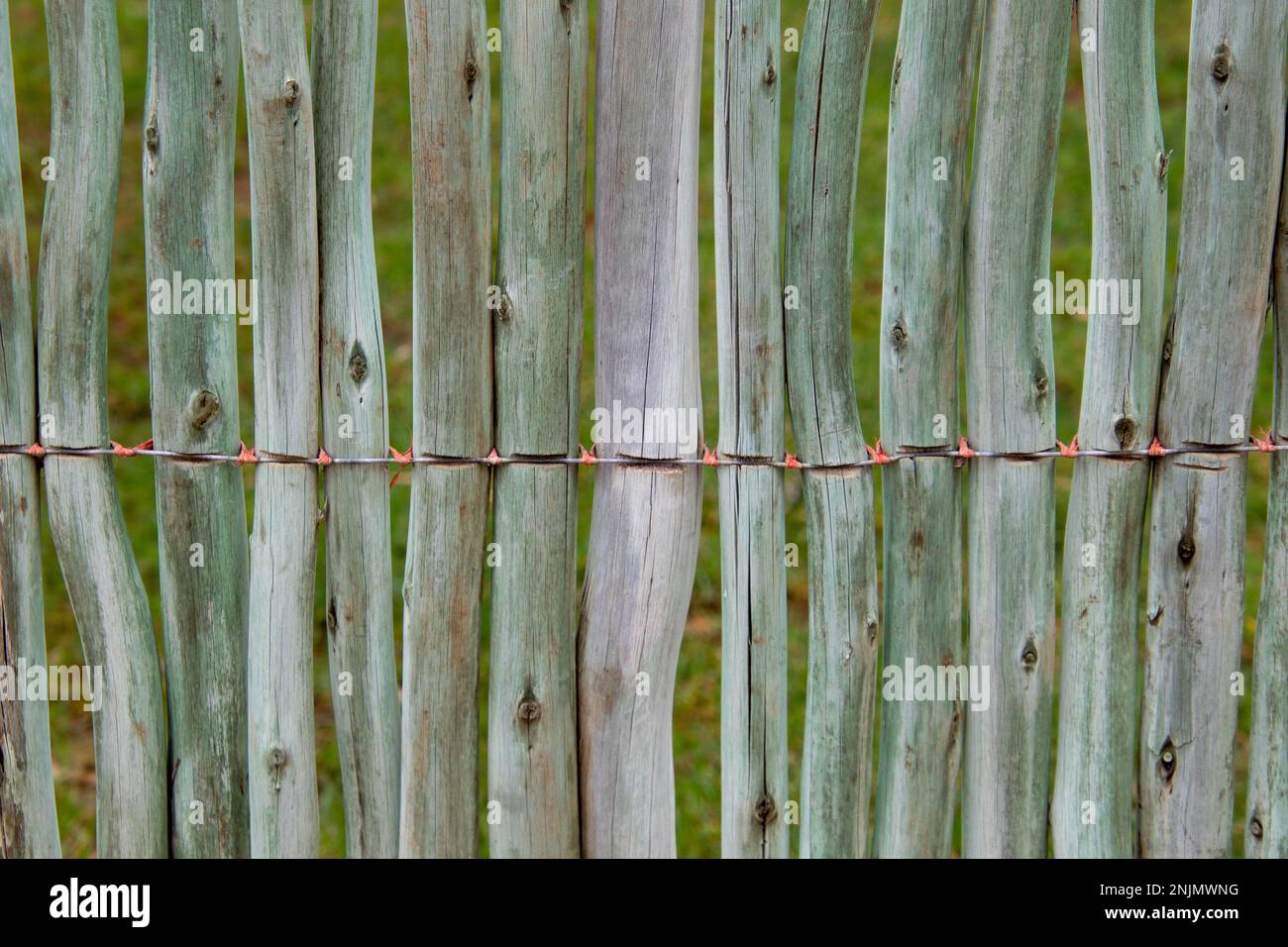 Slatted fence made from small tree branches Stock Photo - Alamy