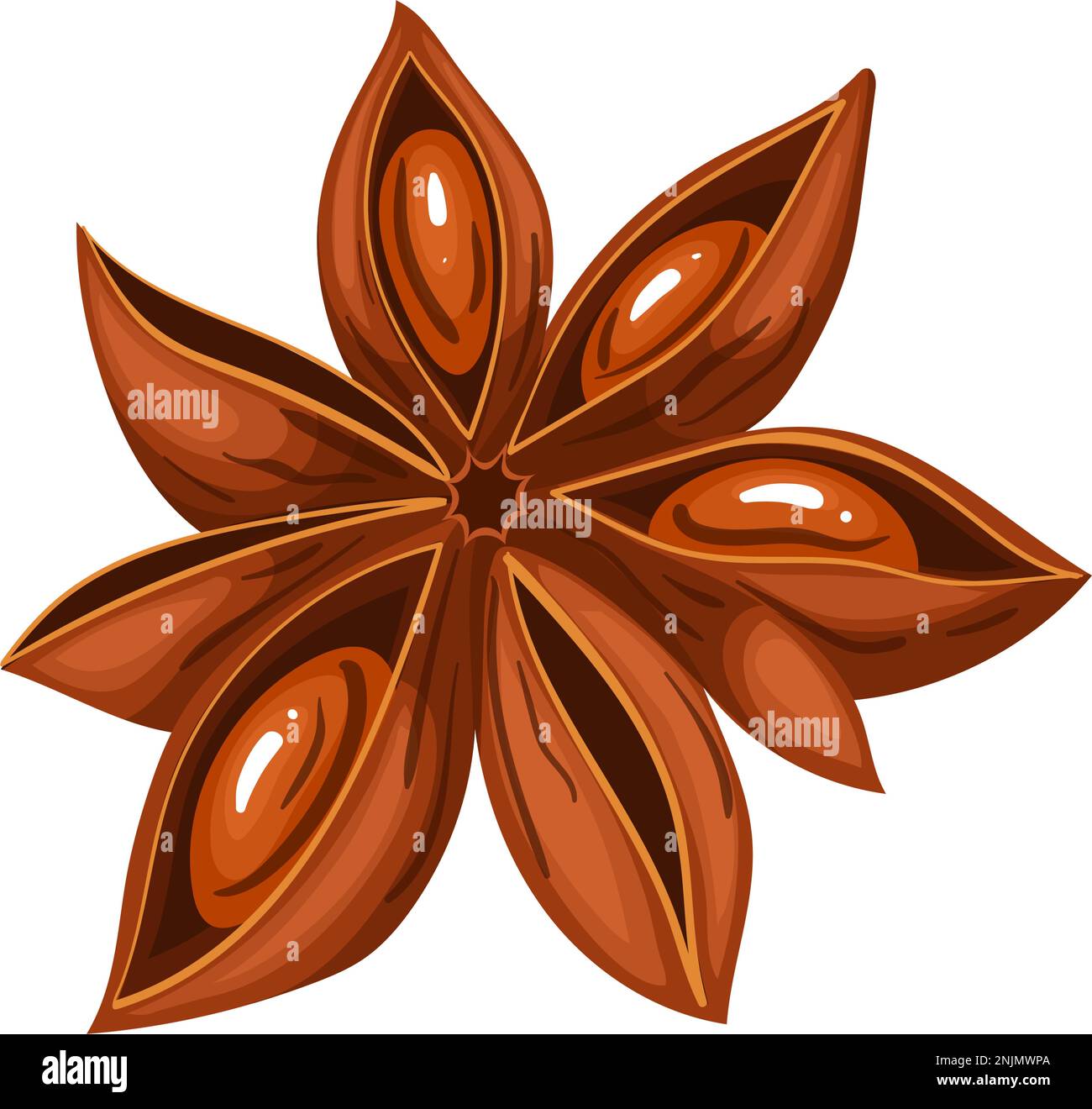 anise star cartoon vector illustration color sign Stock Vector Image ...