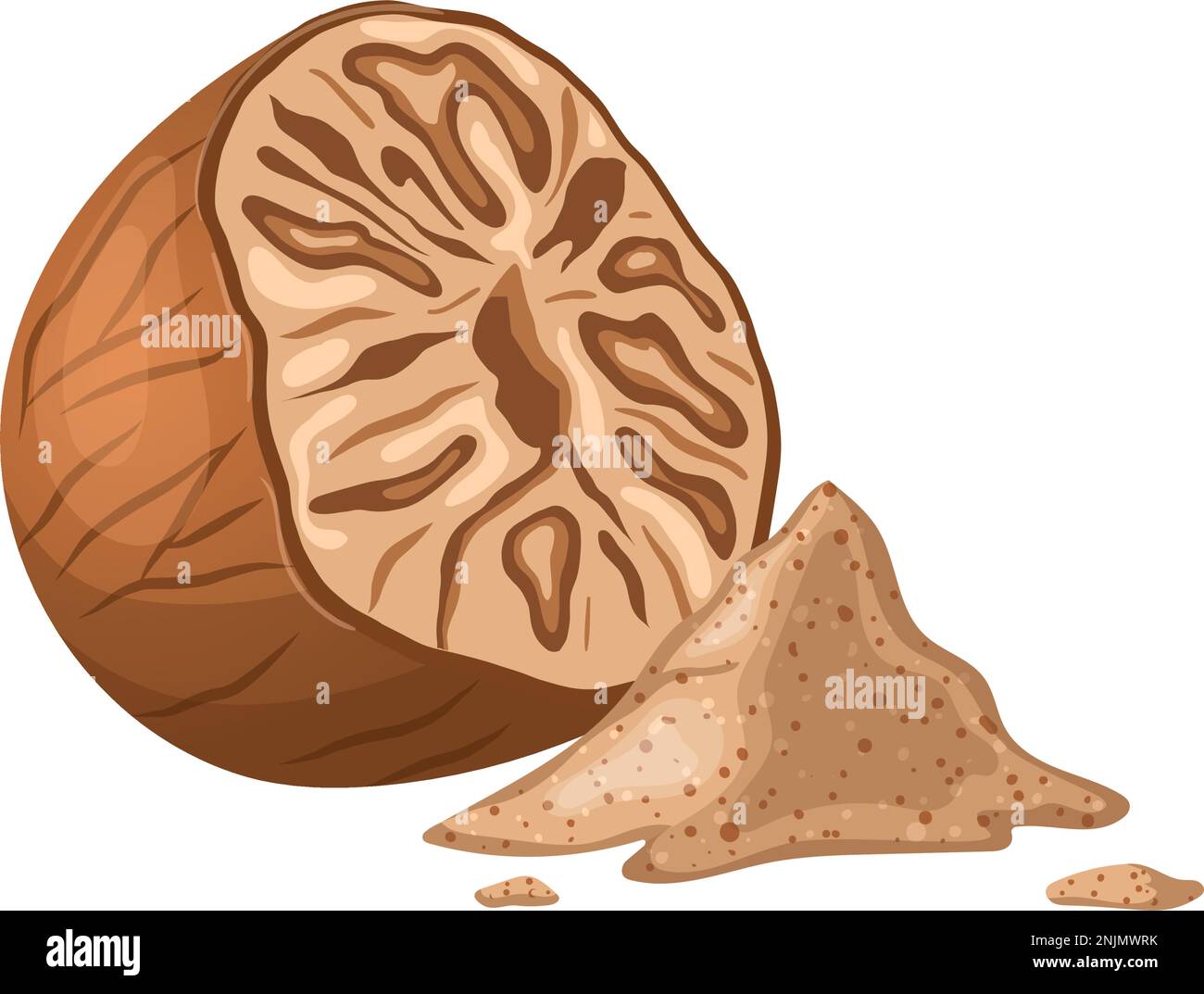 nutmeg food ingredient cartoon vector illustration color sign Stock ...