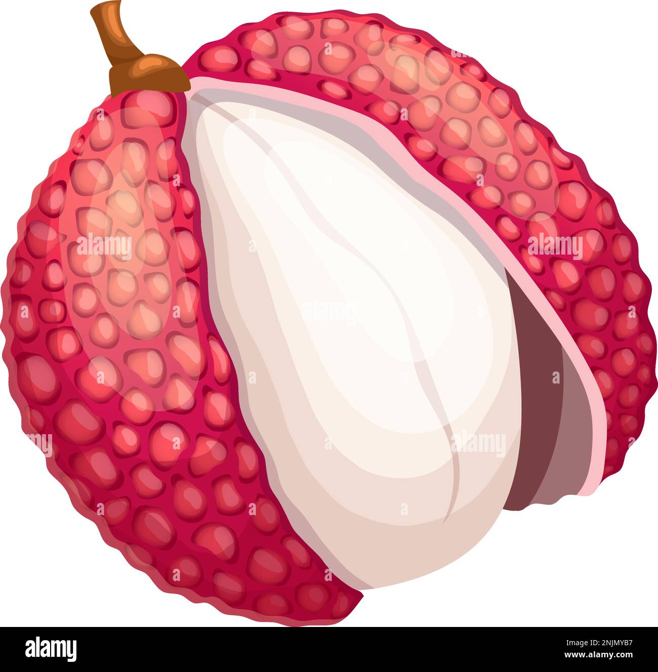 lychee food cartoon vector illustration color sign Stock Vector Image ...