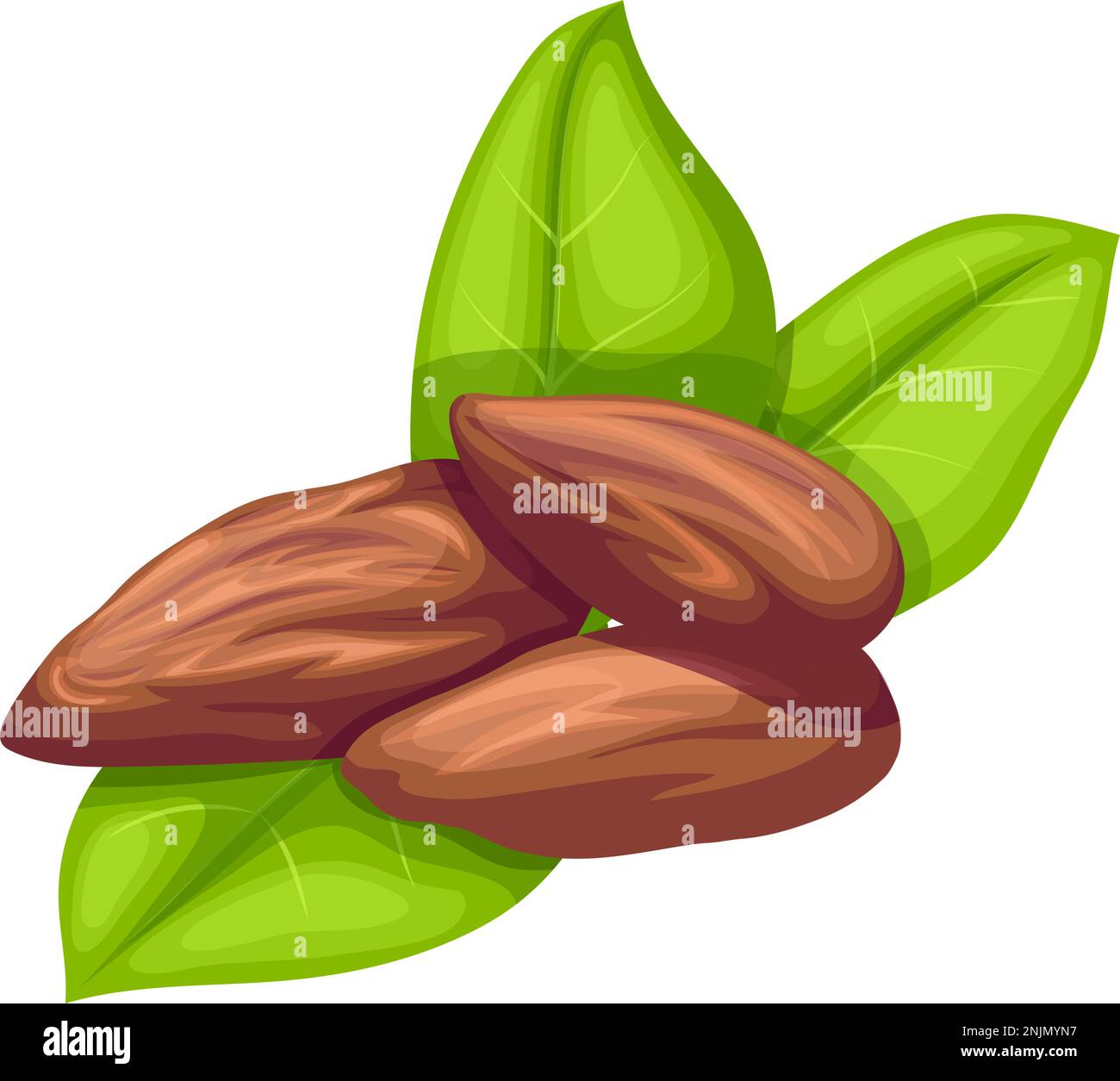 shea natural butter cartoon vector illustration color sign Stock Vector ...