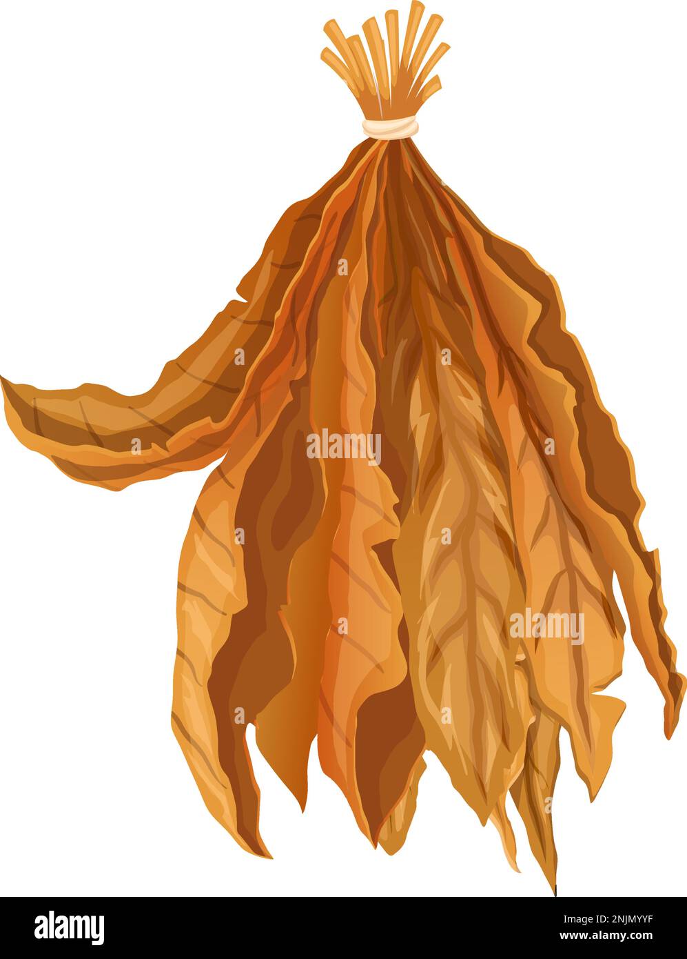 tobacco leaf cartoon vector illustration color sign Stock Vector Image ...