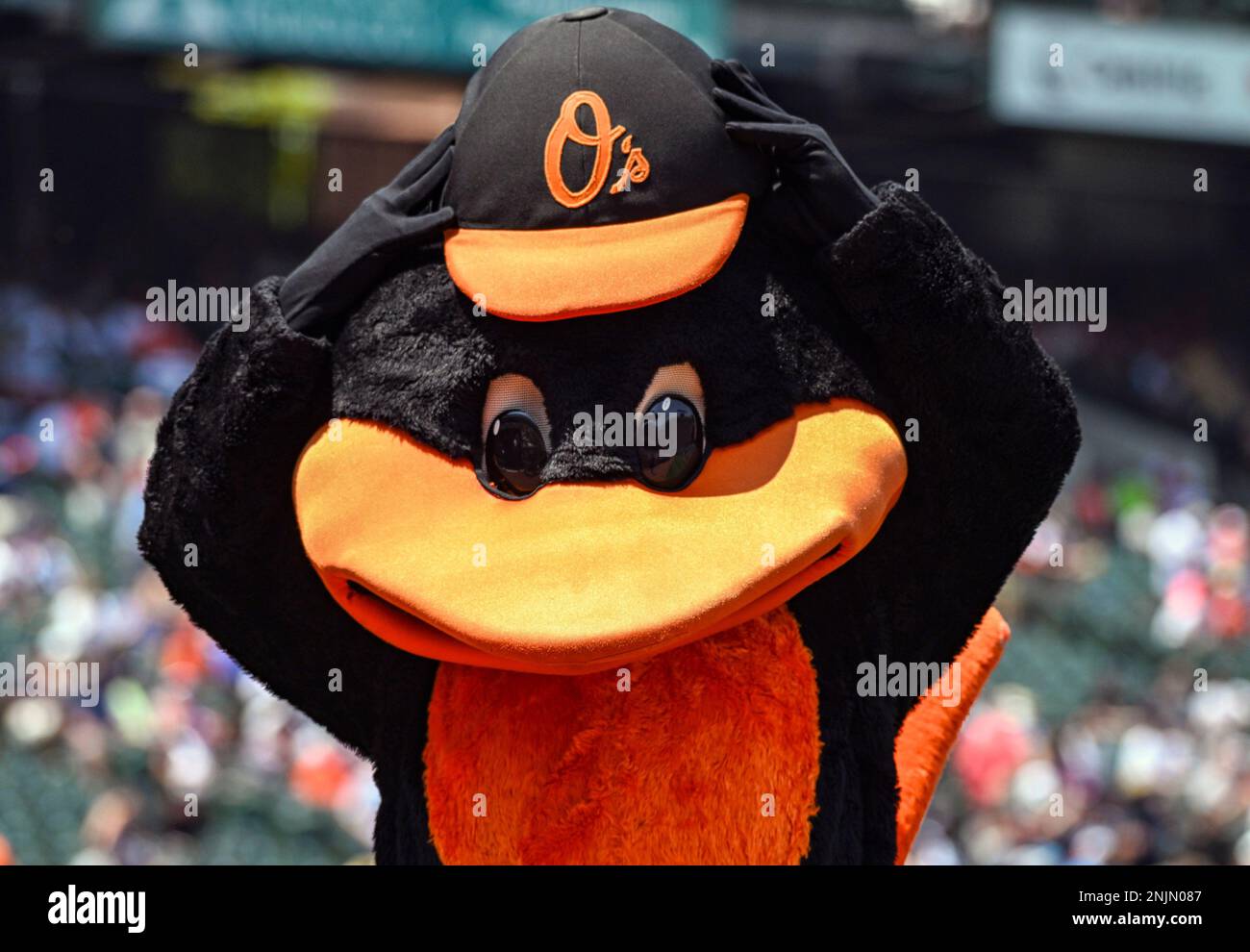 Yankees Mascot 2022
