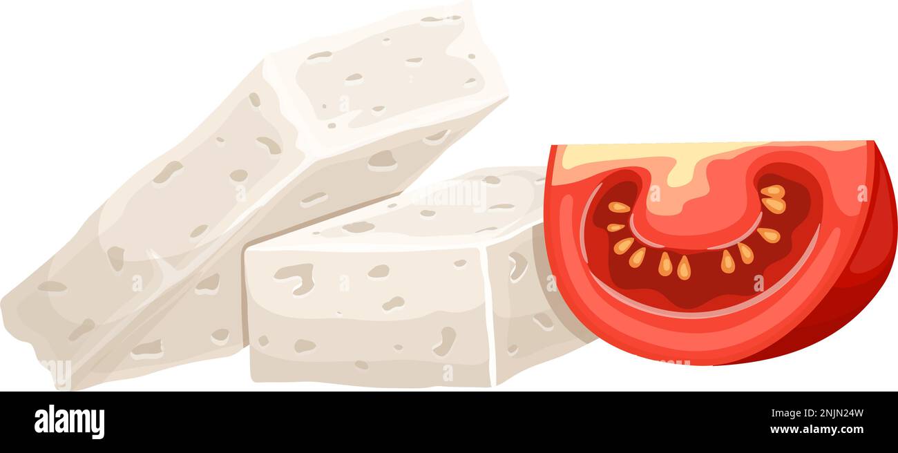 cheese feta white food cartoon vector illustration Stock Vector Image ...