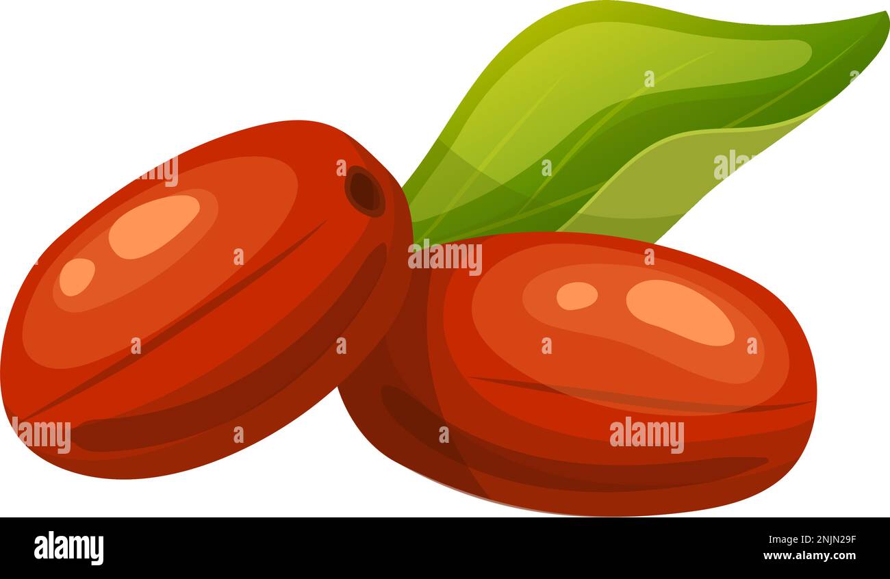 jojoba natural oil cartoon vector illustration color sign Stock Vector ...