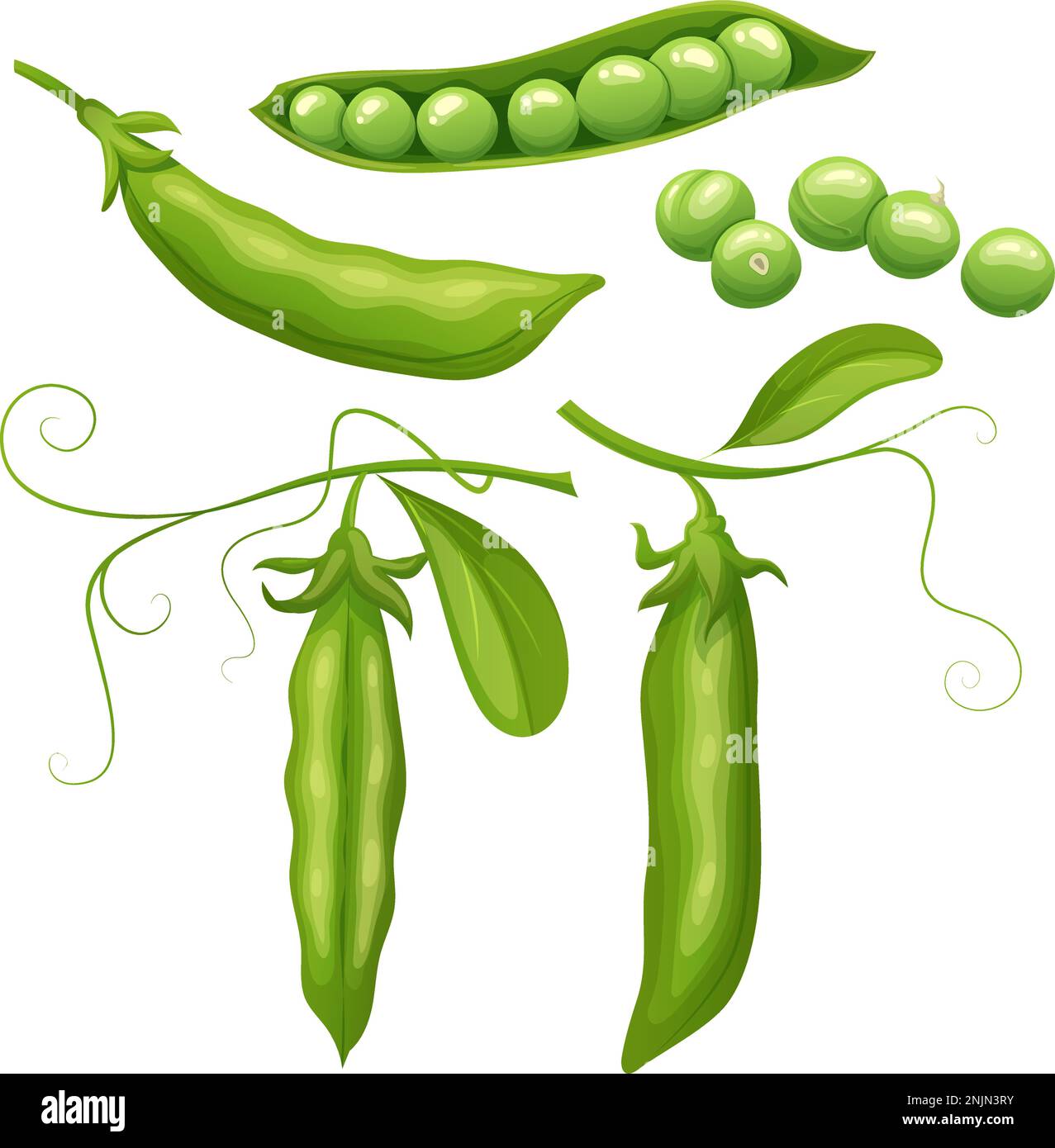 pea green food set cartoon vector illustration color sign Stock Vector ...