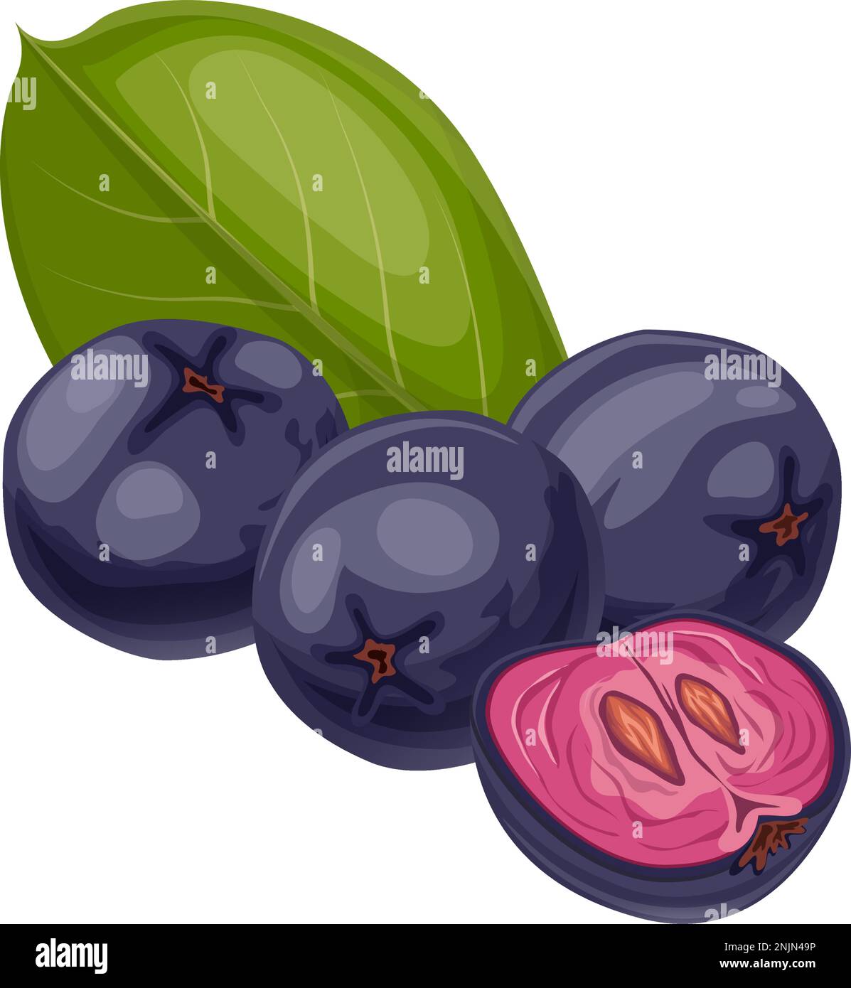 chokeberry food berry cartoon vector illustration color sign Stock ...